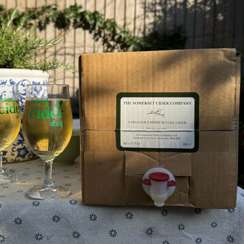 The Somerset Cider Co 10L Medium Bag in Box – Bristol Cider Shop Ltd